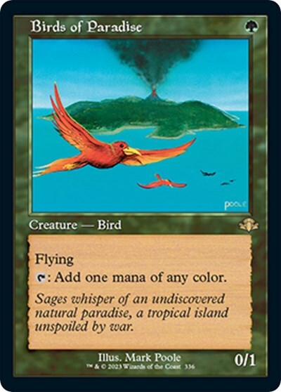 Birds of Paradise (Retro Frame) - DMR | Decked Out Gaming